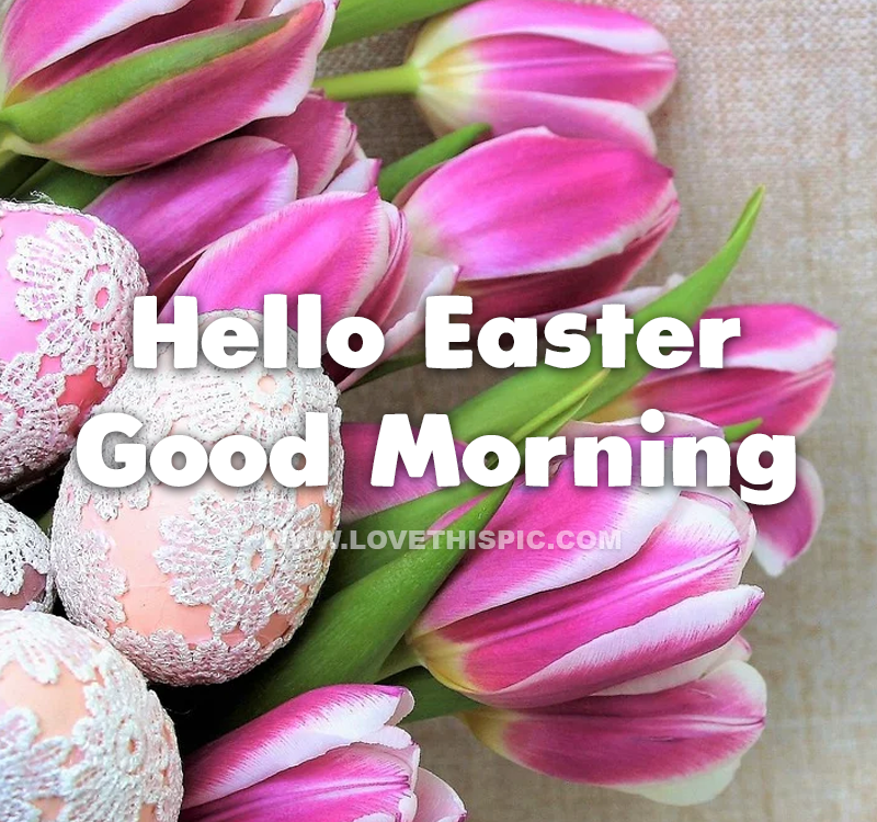 Lace Easter Egg & Tulips - Good Morning Hello Easter Pictures, Photos ...
