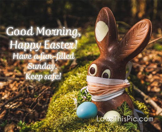 Have A Fun Filled Pictures, Photos, and Images for Facebook, Tumblr ...