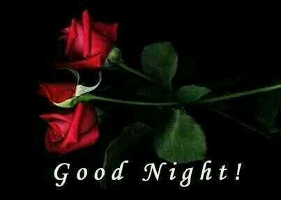 2 Rose Good Night Quote Pictures, Photos, and Images for Facebook ...