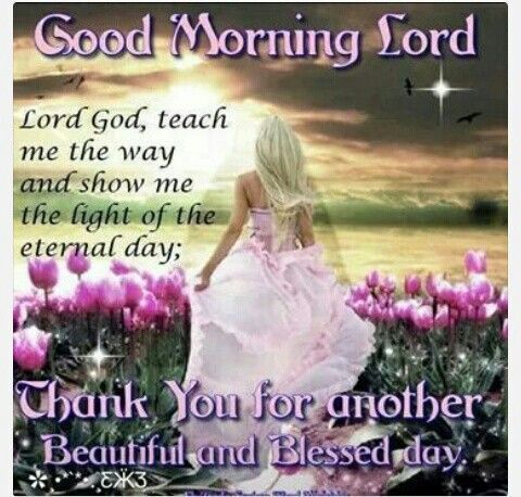 Beautiful And Blessed Day - Good Morning Pictures, Photos, and Images ...