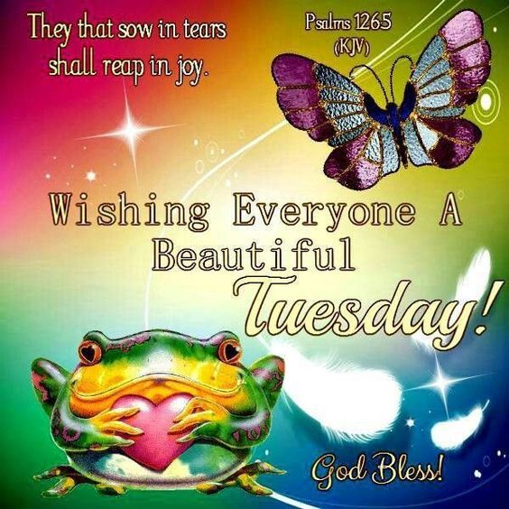 Frog & Butterfly Beautiful Tuesday Quote Pictures, Photos, and Images ...