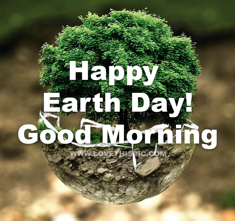 Mini Tree - Happy Earth Day! Good Morning Pictures, Photos, and Images ...
