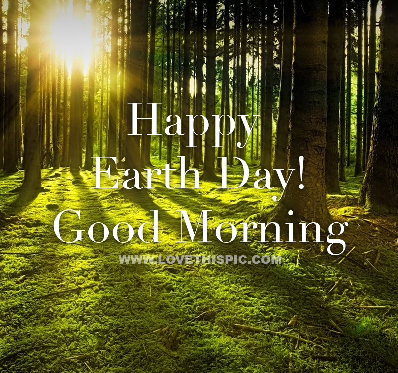 Forest & Sun - Happy Earth Day, Good Morning Pictures, Photos, and ...