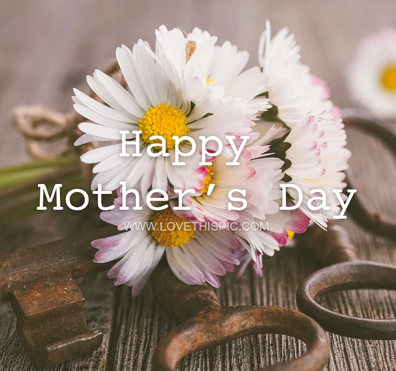 Bunch Of Daisies - Happy Mother's Day Pictures, Photos, and Images for ...