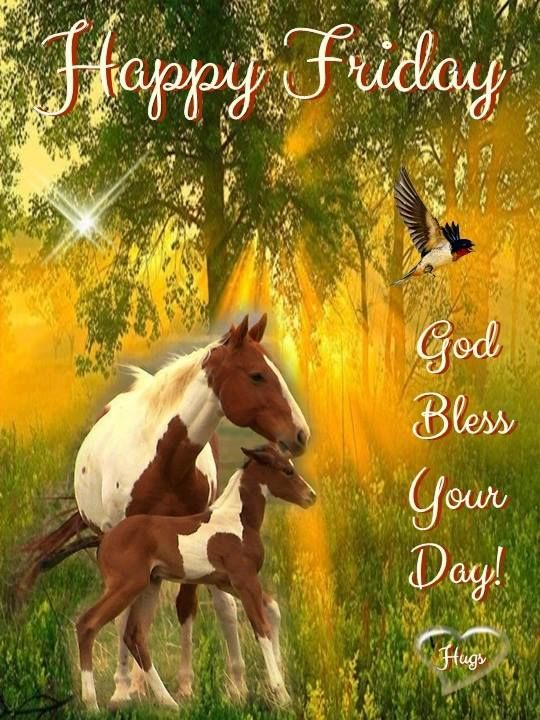 Horse Happy Friday Images Pictures, Photos, and Images for Facebook ...