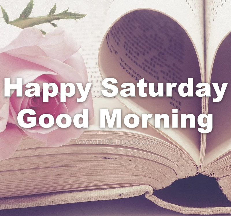 Book With Rose - Happy Saturday Pictures, Photos, and Images for ...