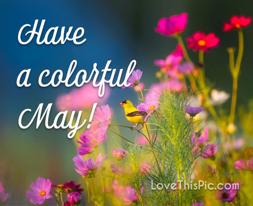 Have A Colorful May Pictures, Photos, and Images for Facebook, Tumblr ...