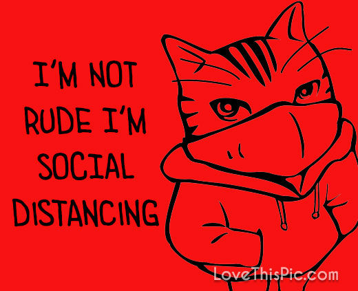 I'm Not Rude Pictures, Photos, and Images for Facebook, Tumblr ...