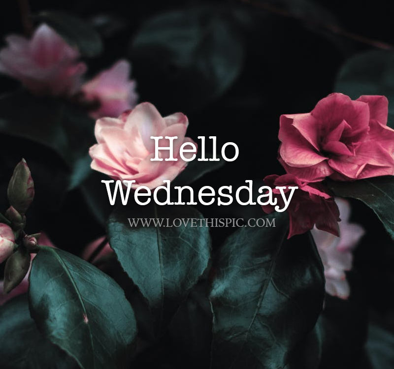 Hello Wednesday Pictures, Photos, and Images for Facebook, Tumblr ...