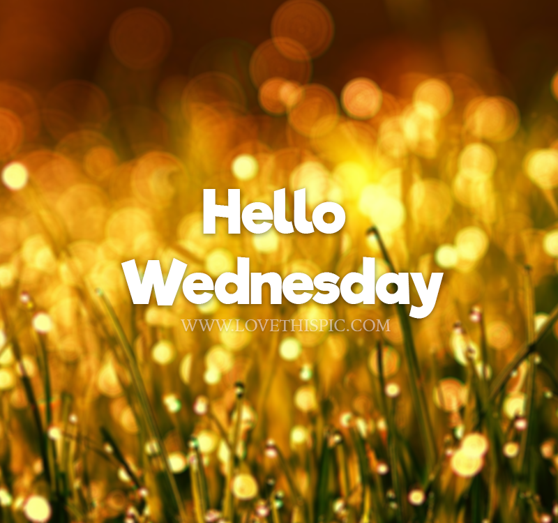 Grass Closeup - Hello Wednesday Pictures, Photos, and Images for ...