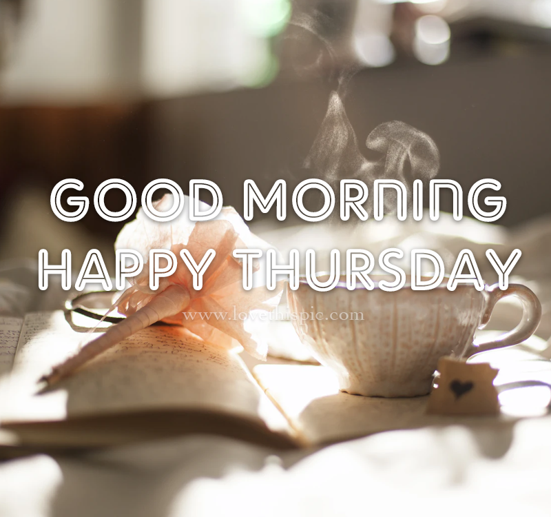 Happy Thursday Tumblr