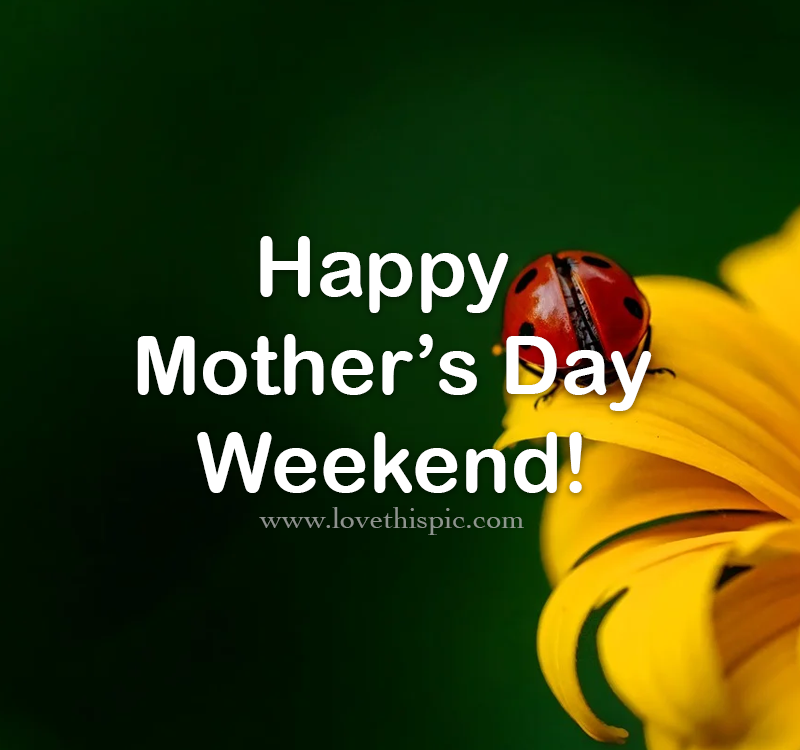 Ladybug Mother's Day Weekend Quote Pictures, Photos, and Images for ...