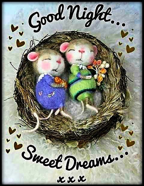 Sleeping Mice Pictures, Photos, and Images for Facebook, Tumblr ...