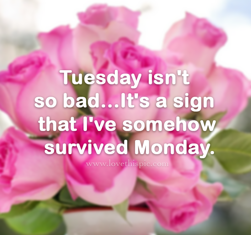 Tuesday Isn't So Bad...It's A Sign That I've Somehow Survived Monday ...