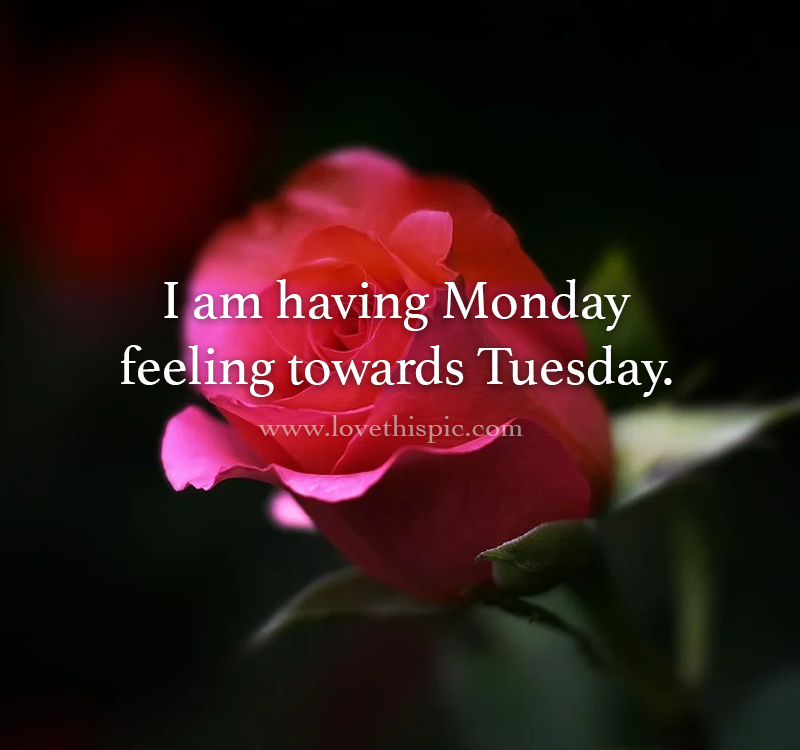 I Am Having Monday Feeling Towards Tuesday. Pictures, Photos, and ...
