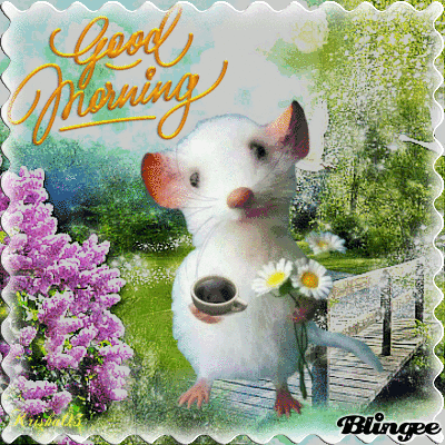 Cute Mouse Good Morning Quote Pictures, Photos, and Images for Facebook ...