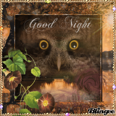 Owl Good Night Pictures, Photos, and Images for Facebook, Tumblr ...