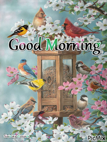 Bird Feeder Good Morning Gif Pictures, Photos, and Images for Facebook ...