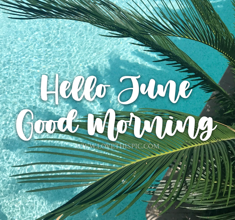 Palm Tree & Pool - Hello June Good Morning Pictures, Photos, and Images ...
