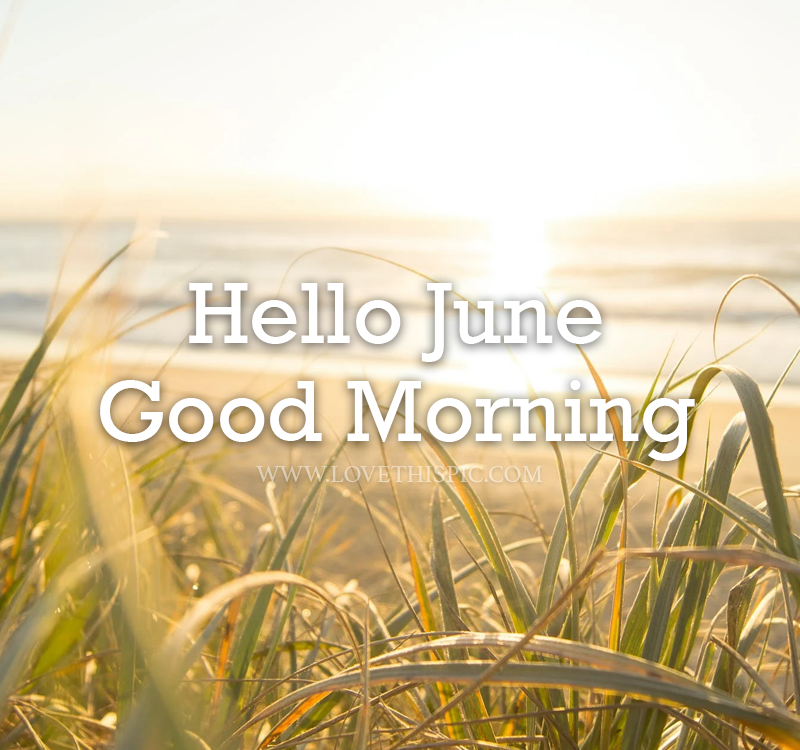 Sea Horizon - Hello June, Good Morning Pictures, Photos, and Images for ...