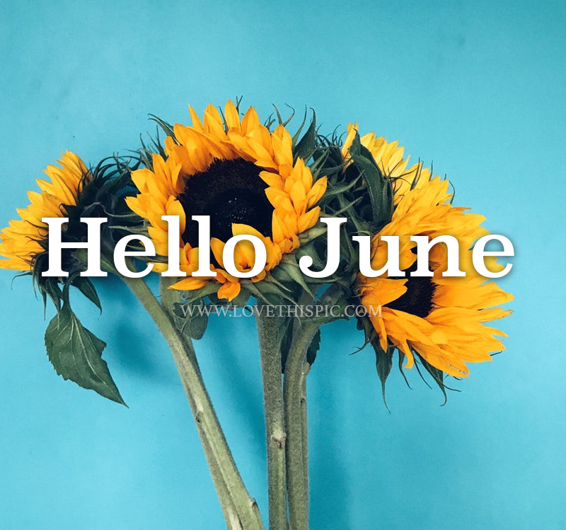 Four Sunflowers - Hello June Pictures, Photos, and Images for Facebook ...