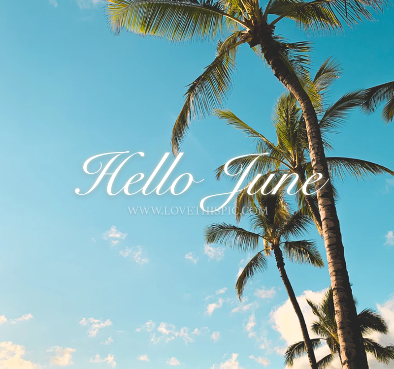 Coconut Trees - Hello June Quote Pictures, Photos, and Images for ...