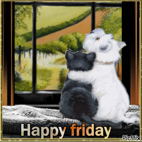 Its Friday Animal Images