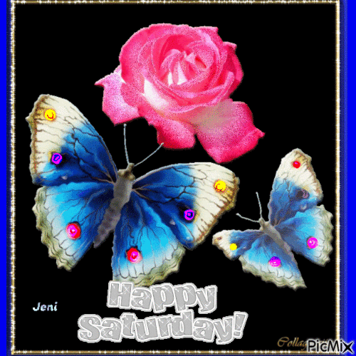 Pink Rose & Butterflies - Happy Saturday Pictures, Photos, and Images ...