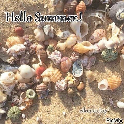 Seashell Hello Summer Pictures, Photos, and Images for Facebook, Tumblr, Pinterest, and Twitter