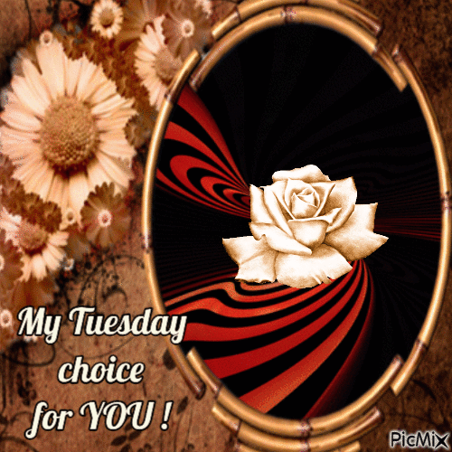 My Tuesday Choice For You Pictures, Photos, and Images for Facebook ...