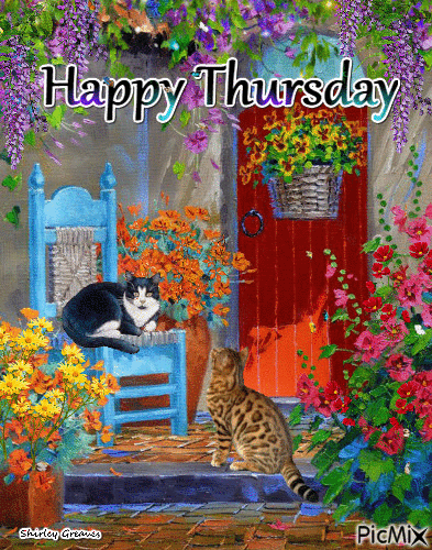 Kittens Outdoors - Happy Thursday Pictures, Photos, and Images for ...