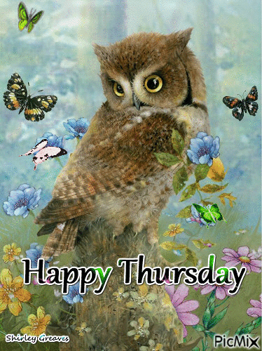 Owl Happy Thursday Gif Pictures, Photos, and Images for Facebook ...