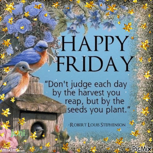 Harvest You Reap But By The Seeds You Plant - Happy Friday Pictures ...