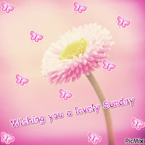 Cute Sunday Greetings Pictures, Photos, and Images for Facebook, Tumblr ...