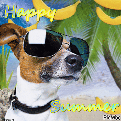 Cool Dog Happy Summer Gif Pictures, Photos, and Images for Facebook ...