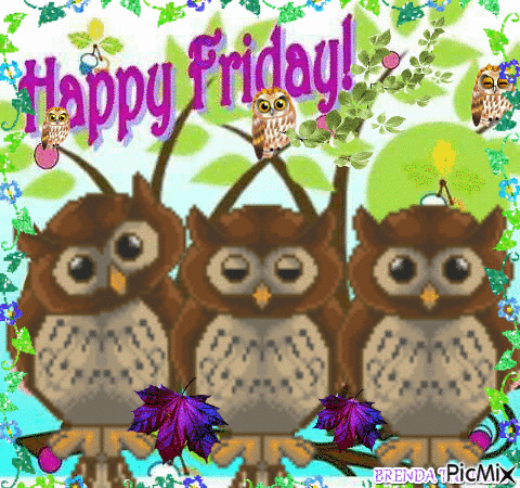 Happy Friday Owls Pictures, Photos, and Images for Facebook, Tumblr ...