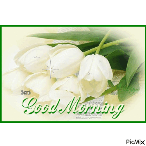 Sparkling Good Morning Tulips Pictures, Photos, and Images for Facebook ...