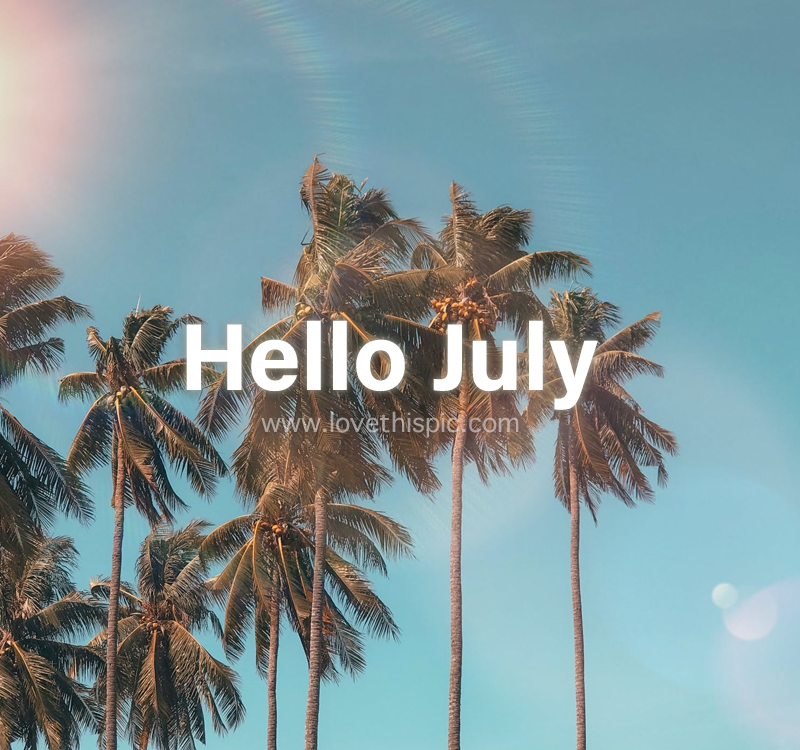 Sunny Day With Palm Trees - Hello July Pictures, Photos, and Images for ...