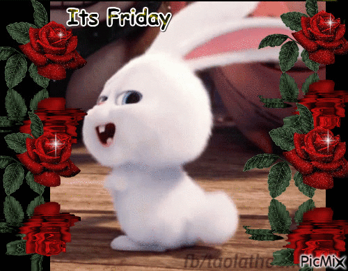Dancing Bunny - It's Friday Pictures, Photos, and Images for Facebook ...