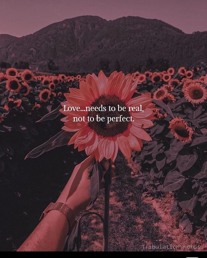 Real Not Perfect Pictures, Photos, and Images for Facebook, Tumblr ...