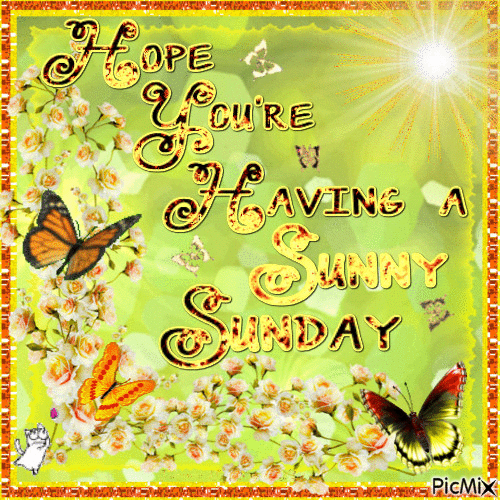 Hope You're Having Sunny Sunday Pictures, Photos, and Images for ...