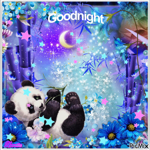 Panda Bear Good Night Gif Pictures, Photos, and Images for Facebook ...