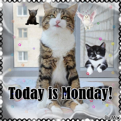 Today Is Monday Pictures, Photos, and Images for Facebook, Tumblr ...