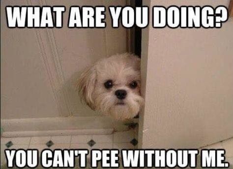 Without Me Pictures, Photos, and Images for Facebook, Tumblr, Pinterest ...