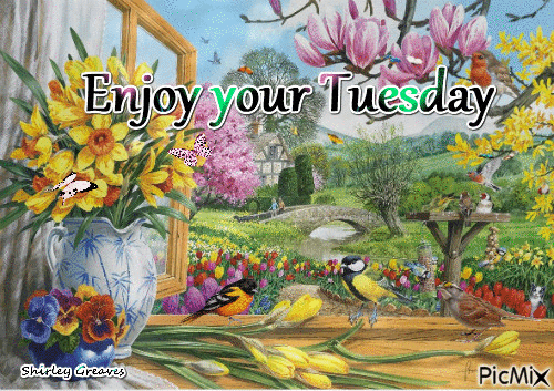 Enjoy Your Tuesday Pictures, Photos, and Images for Facebook, Tumblr ...