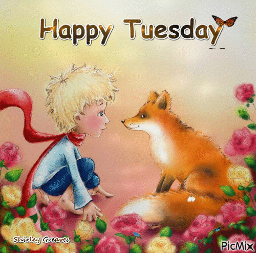 Boy & Fox - Happy Tuesday Pictures, Photos, and Images for Facebook ...