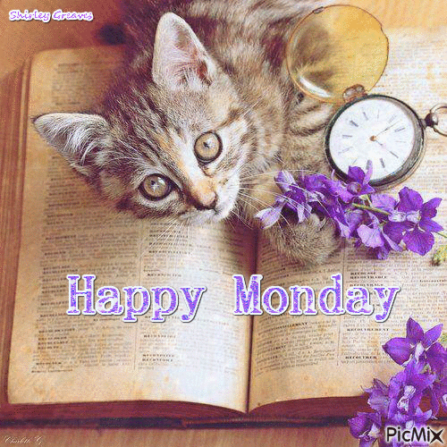 Kitten On Book: Happy Monday Gif Pictures, Photos, and Images for ...