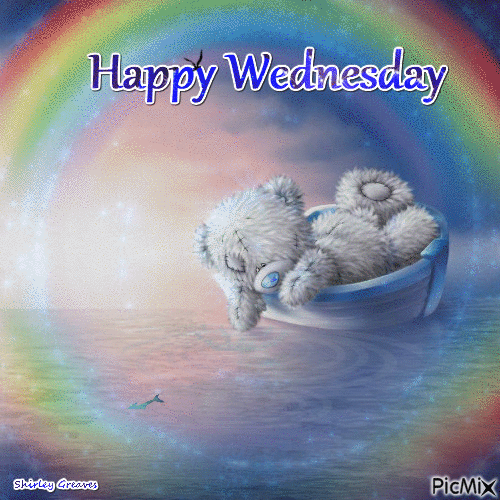Teddy Bear In Boat: Happy Wednesday Pictures, Photos, and Images for ...