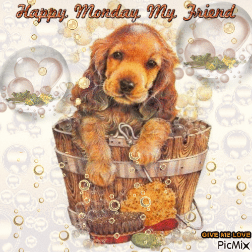 My Friend, Happy Monday Pictures, Photos, and Images for Facebook ...