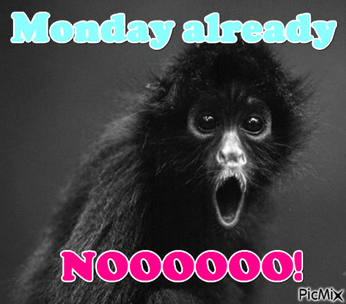 Nooooo Monday Already Pictures, Photos, and Images for Facebook, Tumblr ...